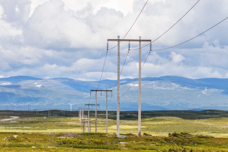 Why Do Wooden Utility Poles Fail? | Polesaver