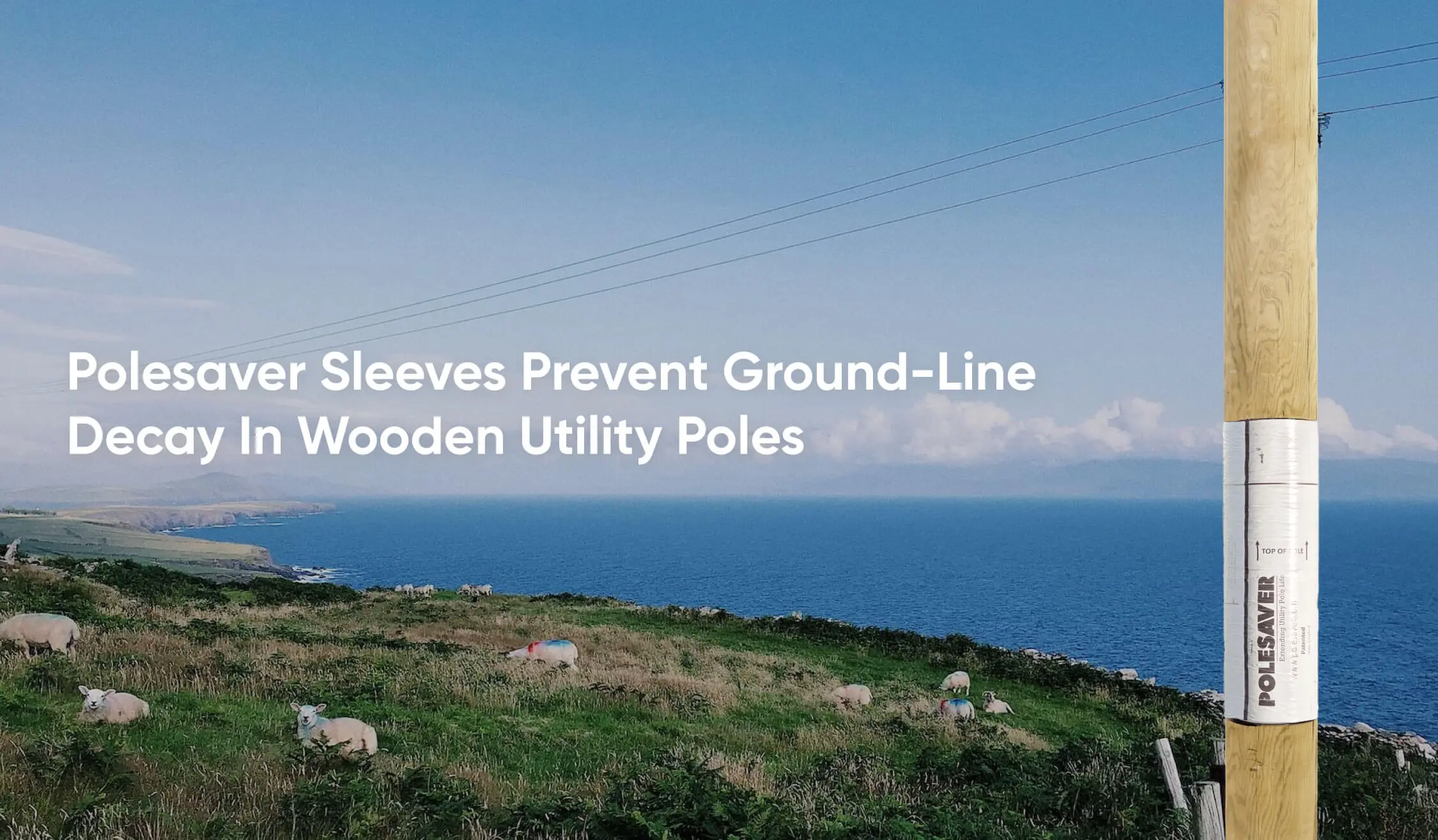 Polesaver Barrier Sleeves - Preventing Wooden Utility Pole Failure