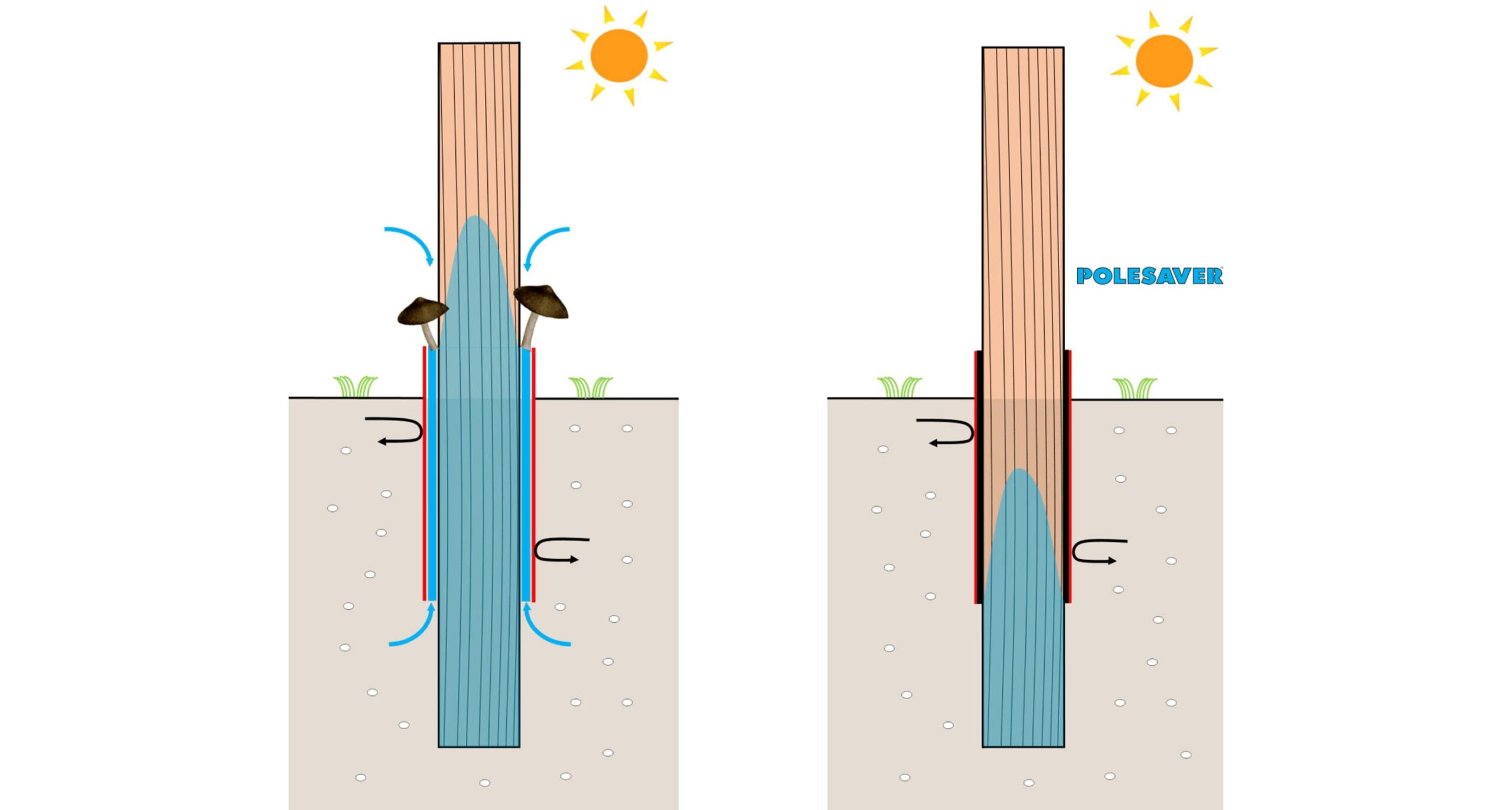Partial Vs Total Barriers Against Wood Decay | Polesaver