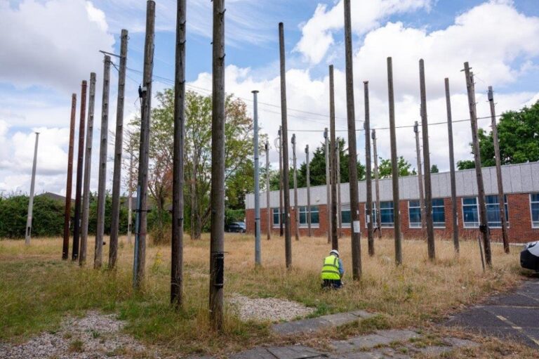 Why Do Wooden Utility Poles Fail? | Polesaver