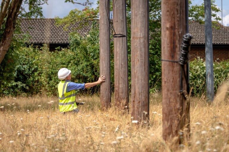 Utility Pole Core Rot: Causes and Prevention
