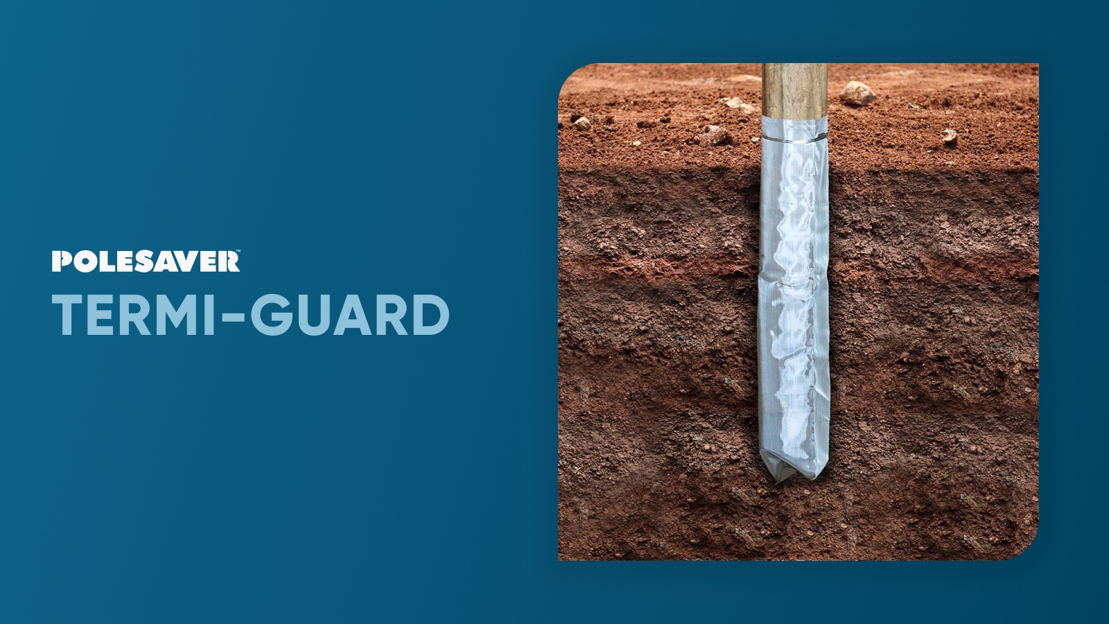 Polesaver Termi-Guard™ | Termite Protection for Utility Poles | Polesaver