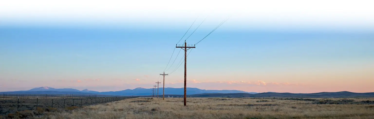 Polesaver Termi-Guard™ | Termite Protection for Utility Poles | Polesaver