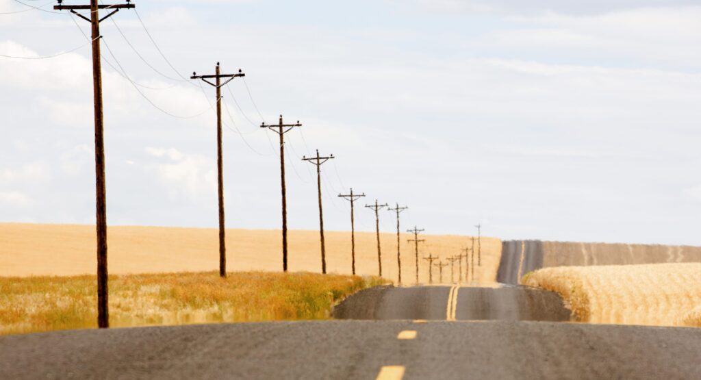 Utility Pole Core Rot: Causes and Prevention