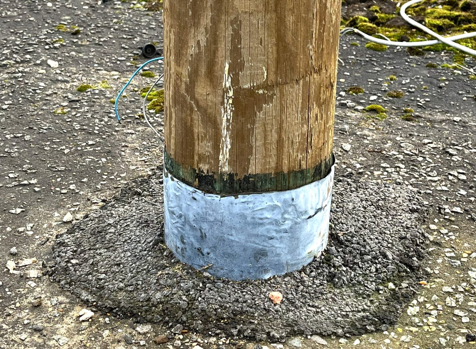 10-Year Field Test Results are Positive for Polesaver | Polesaver